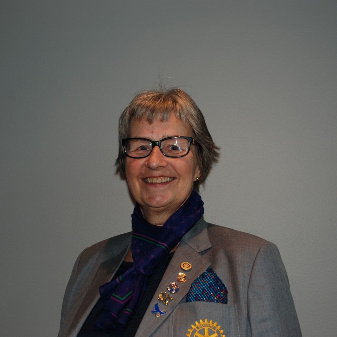 Distriktsorganisasjonen 2023 - 2024 | ROTARY DISTRIKT 2290